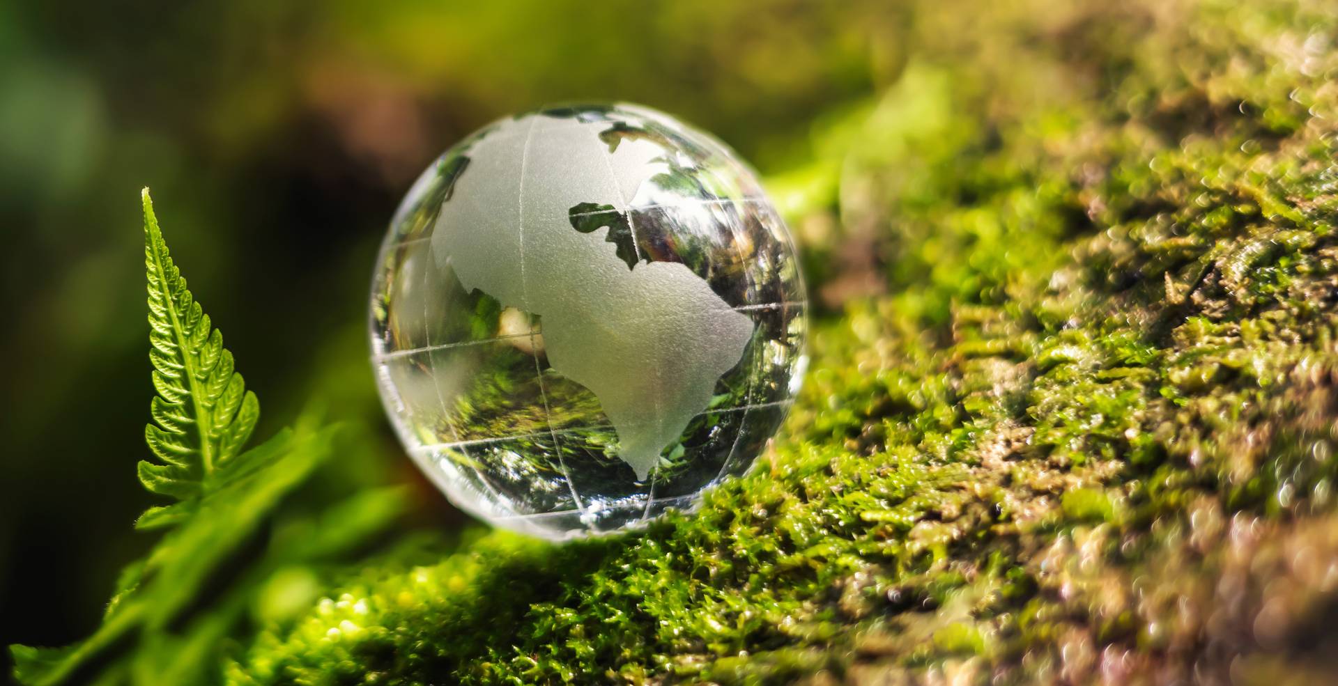 Un capitalisme vert et socialement juste est-il possible ? | Cercle du lion